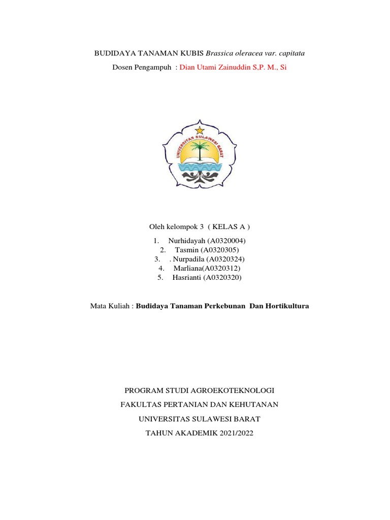 BUDIDAYA TANAMAN KUBIS Brassica Oleracea Var | PDF