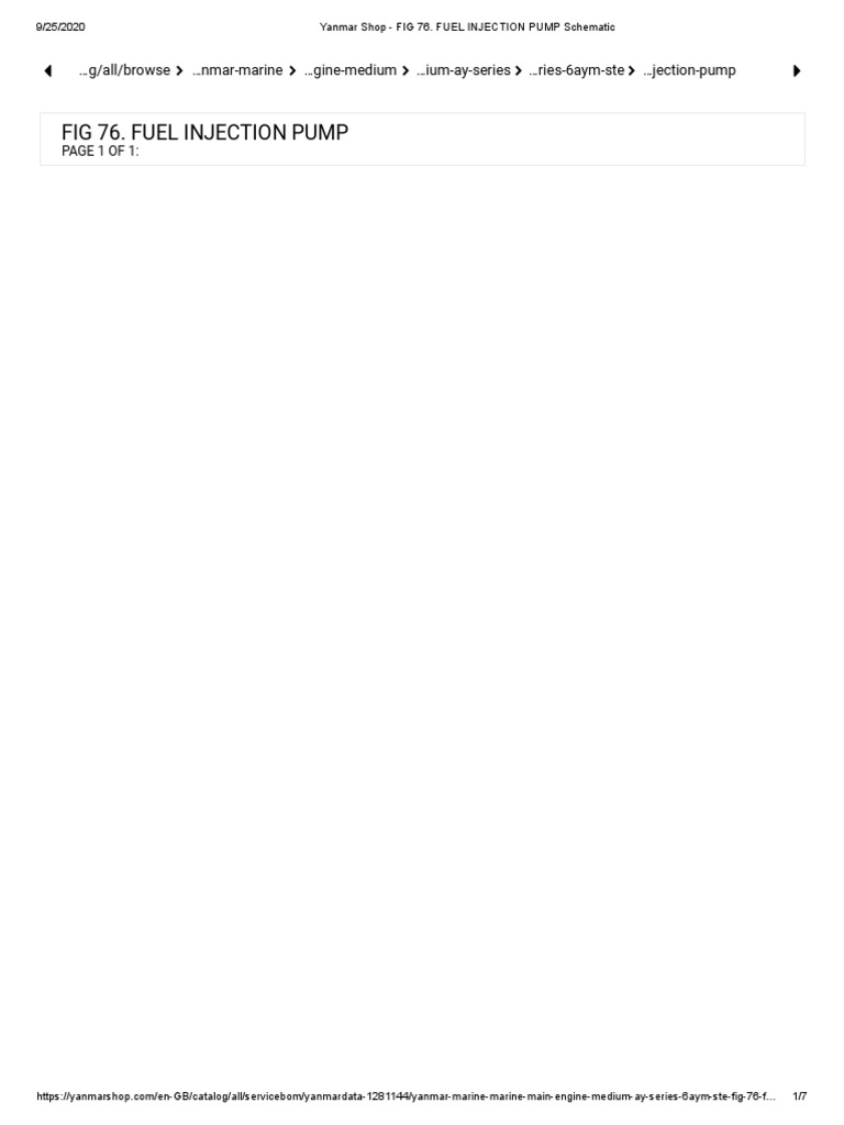 Inj Pump Assy | PDF | Valve | Manufactured Goods