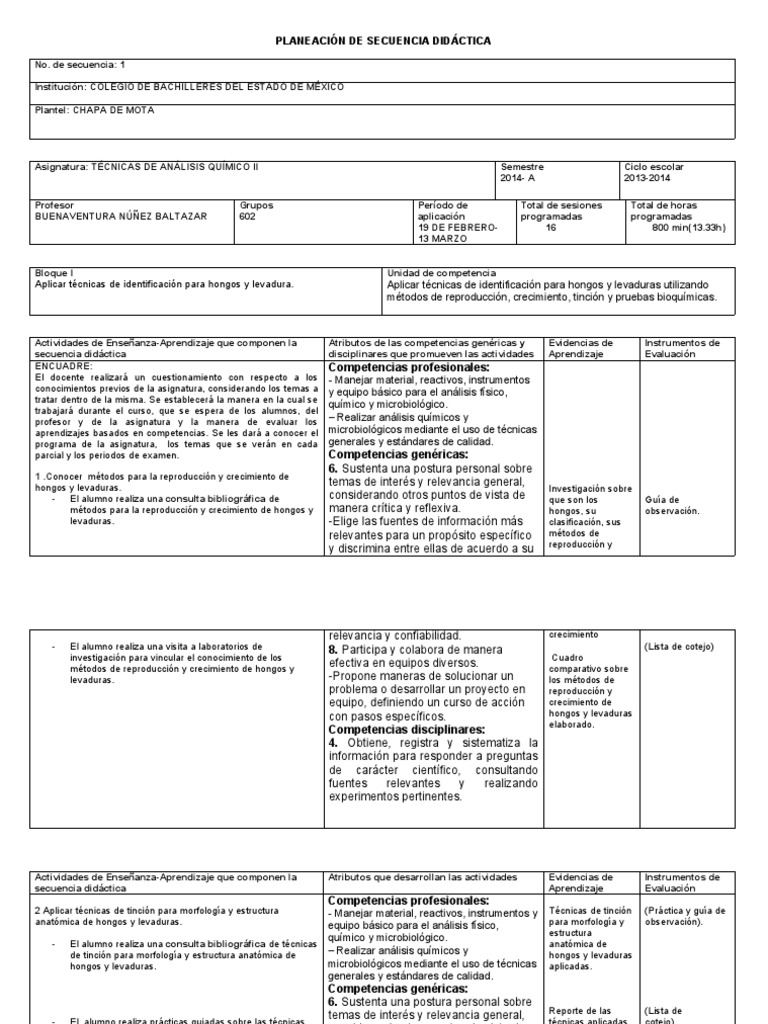 Planeacion de Tecnica de Analisis | PDF | Evaluación | Aprendiendo estilos