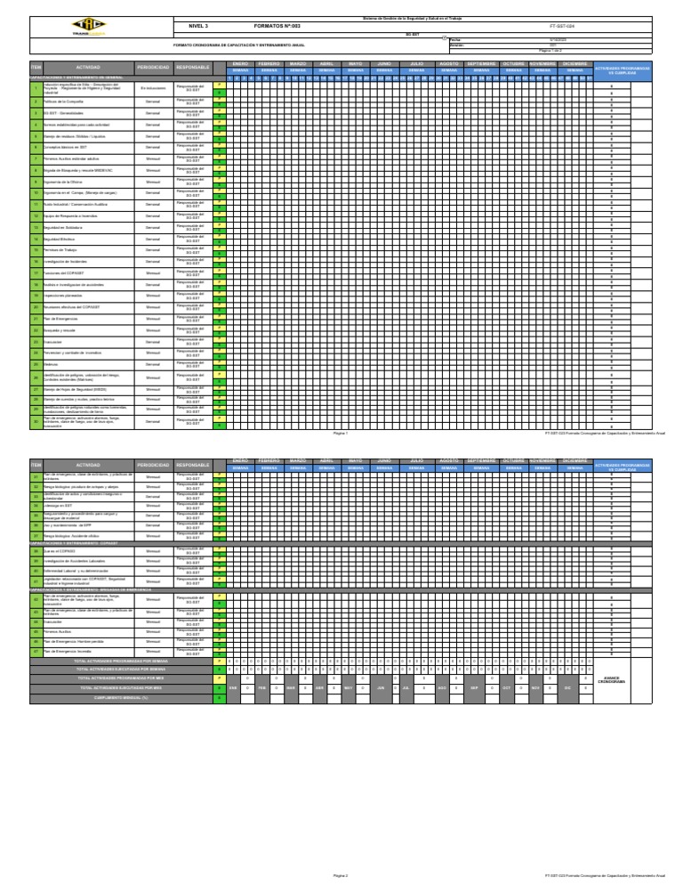 FT-SST-024 Formato Cronograma de Capacitacion y Entrenamiento | PDF