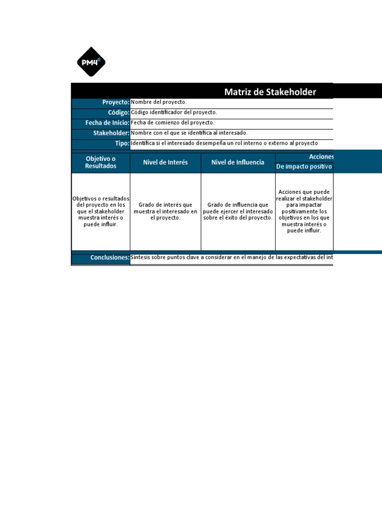 Matriz de Stakeholders - Plantilla y Ejemplos | PDF