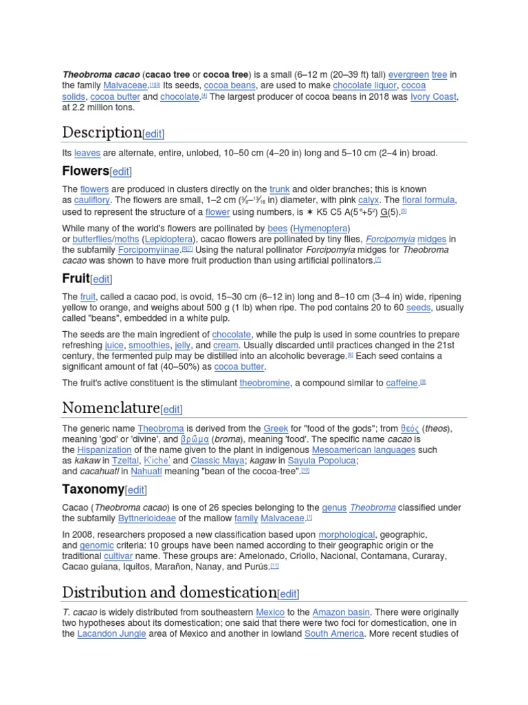 Cacao | PDF | Cocoa Bean | Agriculture