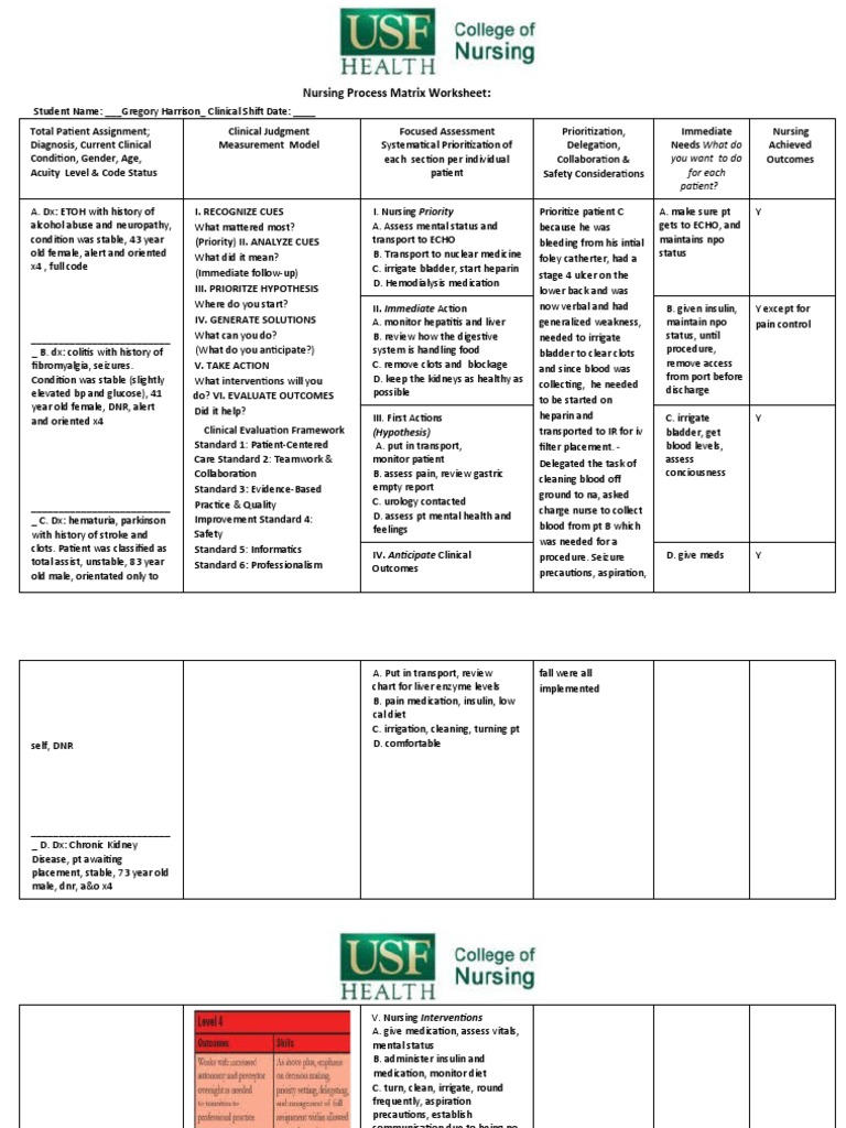 Nursing Process Matrix Worksheet Sum 23 Final 1 1 1 | PDF