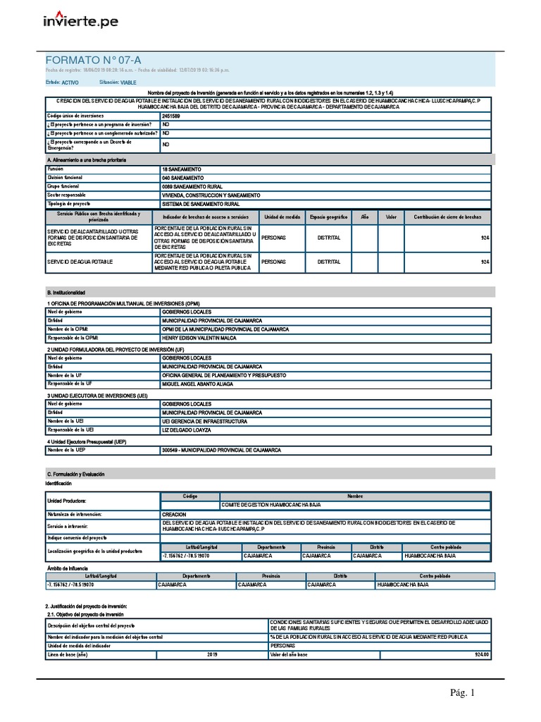 Formato 7a - Banco de Inversiones | PDF | Infraestructura | Tasa ...