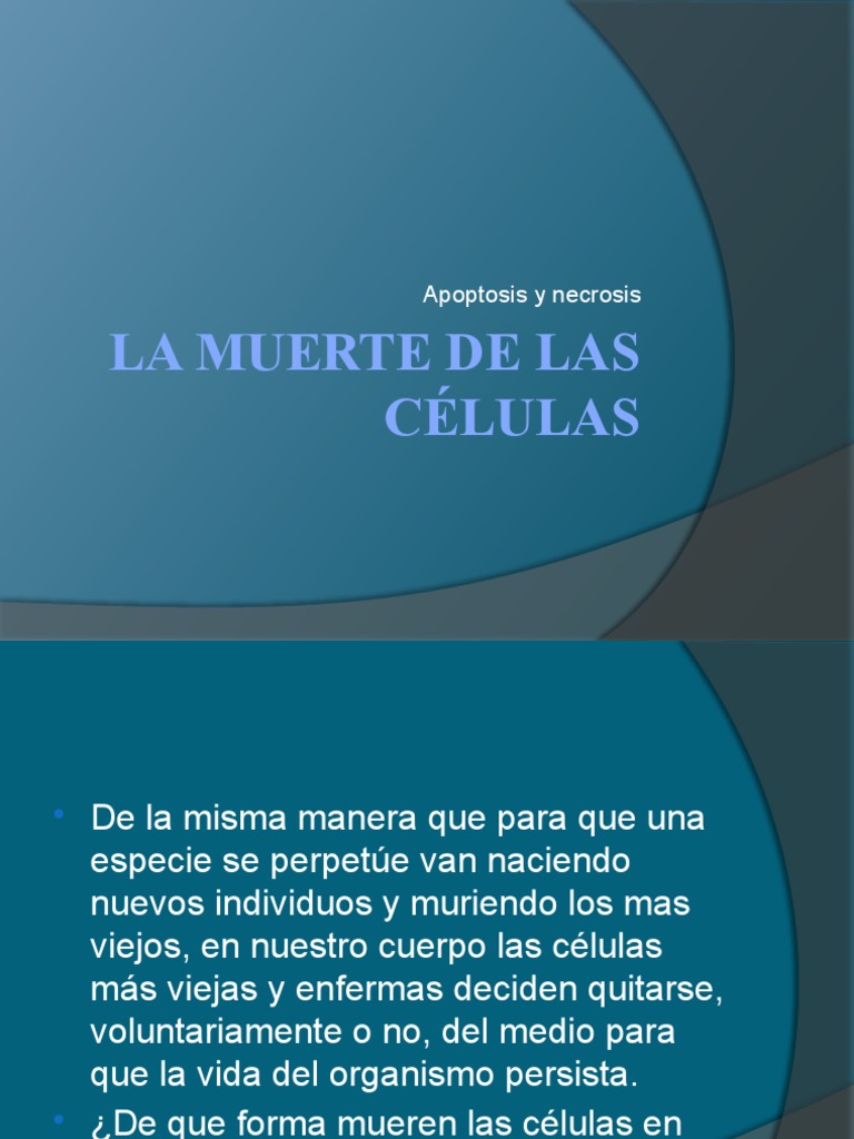 La Muerte de Las Celulas | PDF | Apoptosis | Caspasa