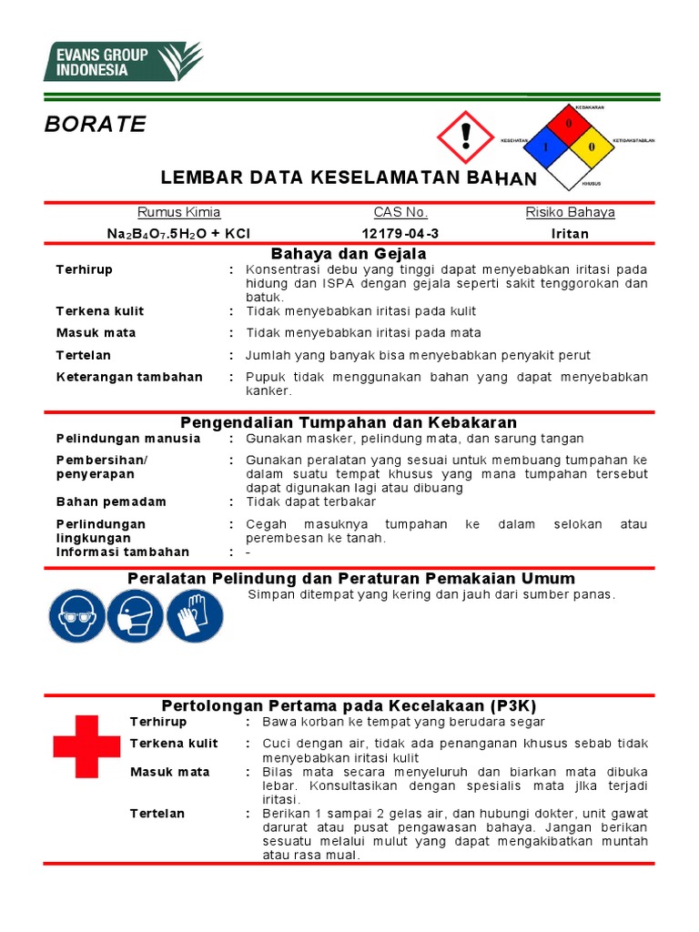 Resume MSDS Borate | PDF