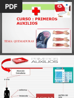Regla de Wallace para Quemaduras | PDF | Anatomía humana | Anatomía de ...
