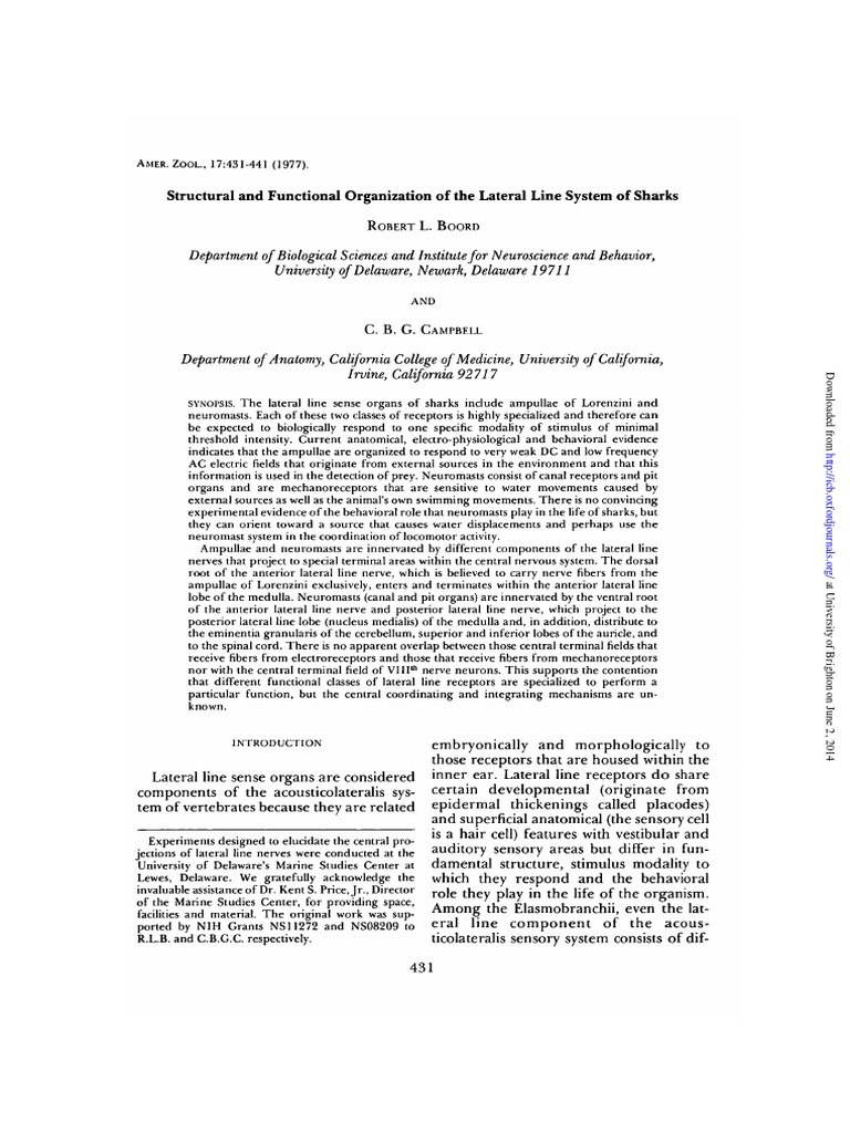 Icb/17 2 431 | PDF | Stimulus (Physiology) | Senses