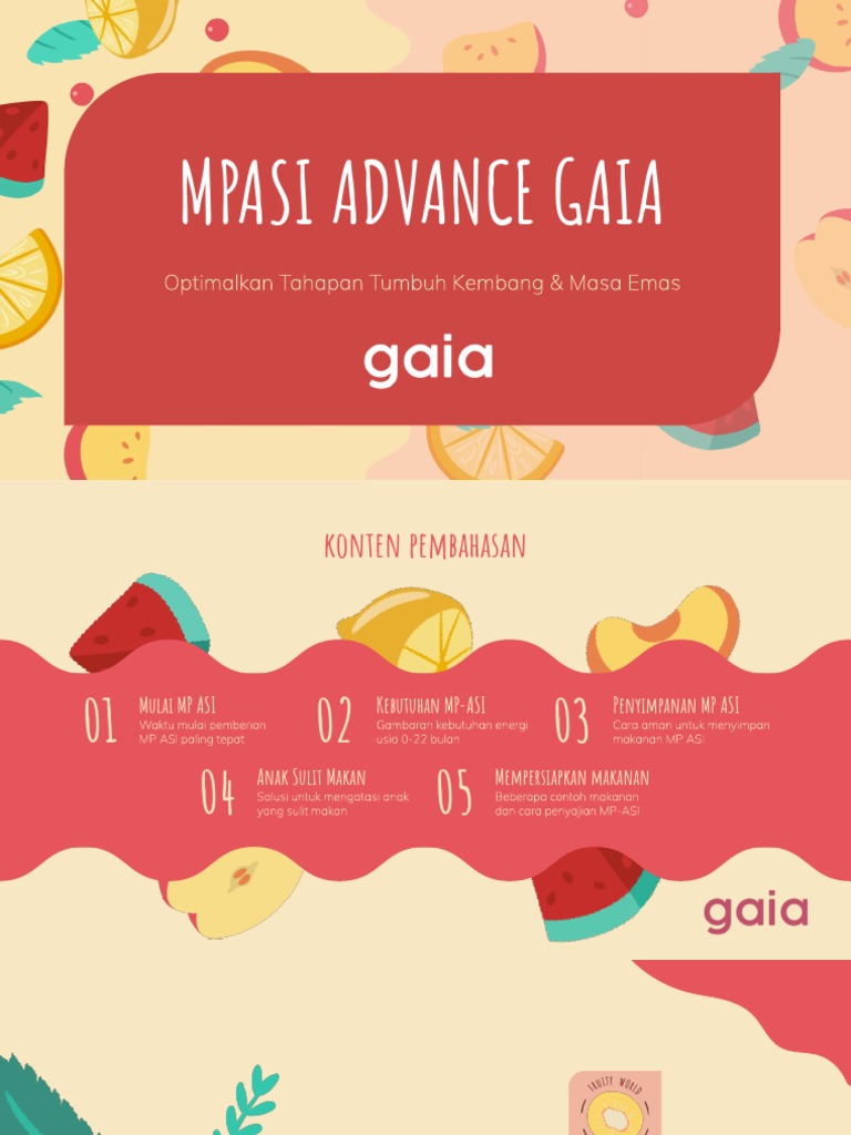 Panduan Dasar Menyusun MPASI Menurut WHO Dan IDAI | PDF