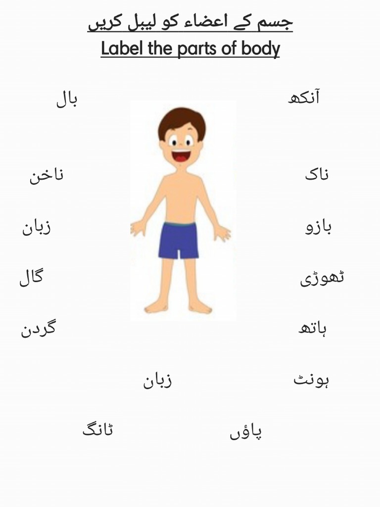 Label The Body Parts | PDF