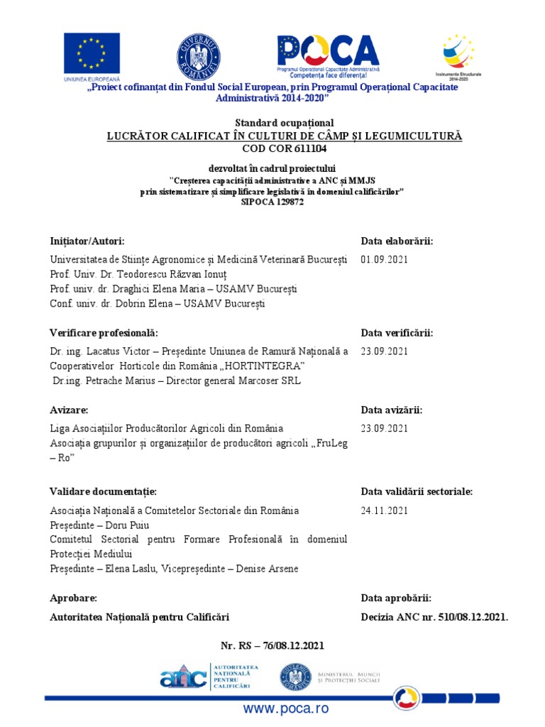 STANDARD OCUPATIONAL Nivel 1 | PDF