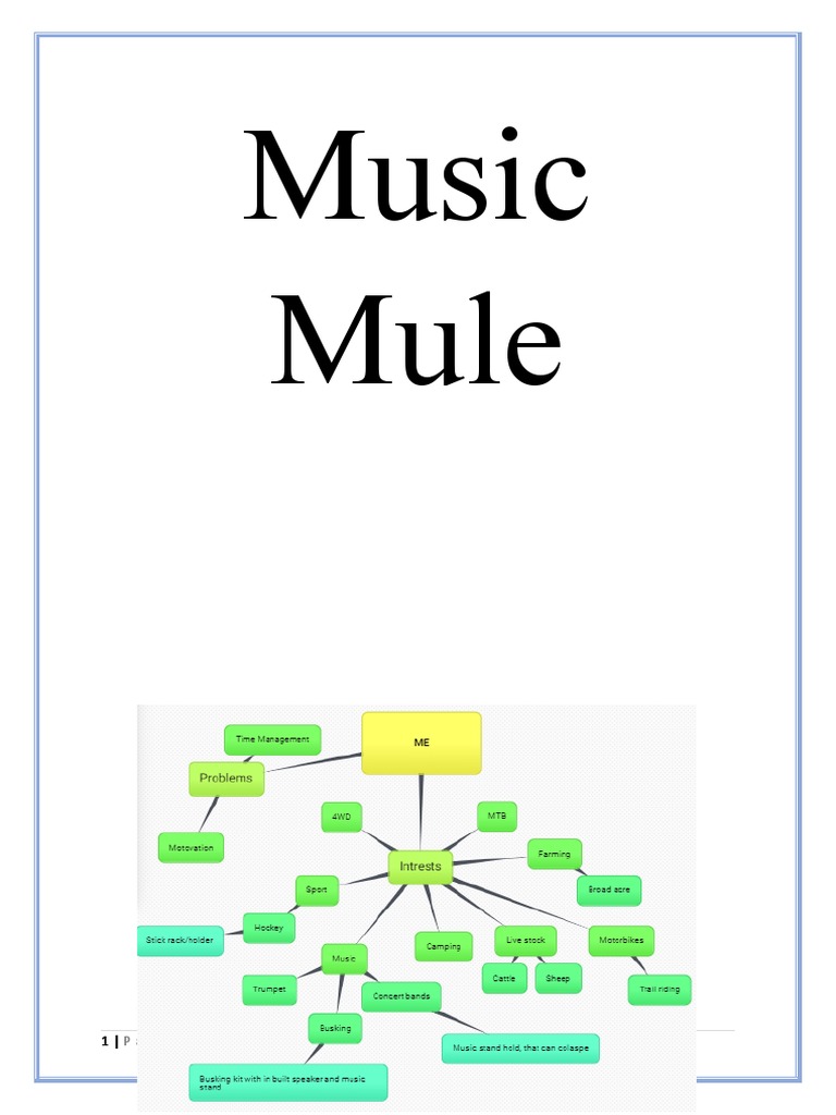 Music Mule | PDF | Human Factors And Ergonomics | Tram