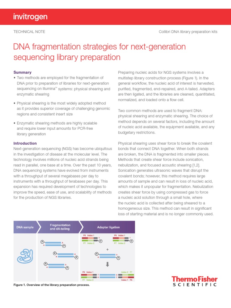 Dna Fragmentation Next Generation Sequencing Library Preparation Tech ...