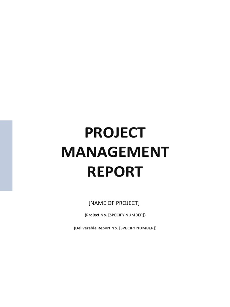 Project Management Report | PDF