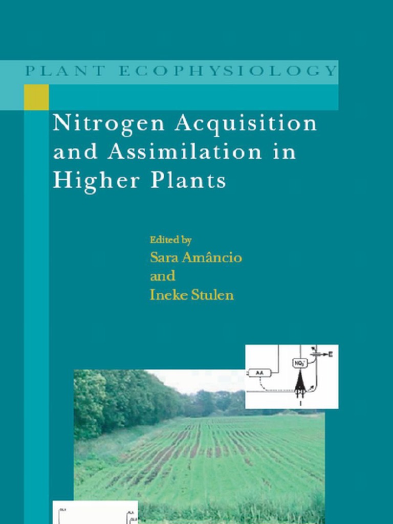 Nitrogen Acquisition and Assimilation in Higher Plants Plant Eco ...