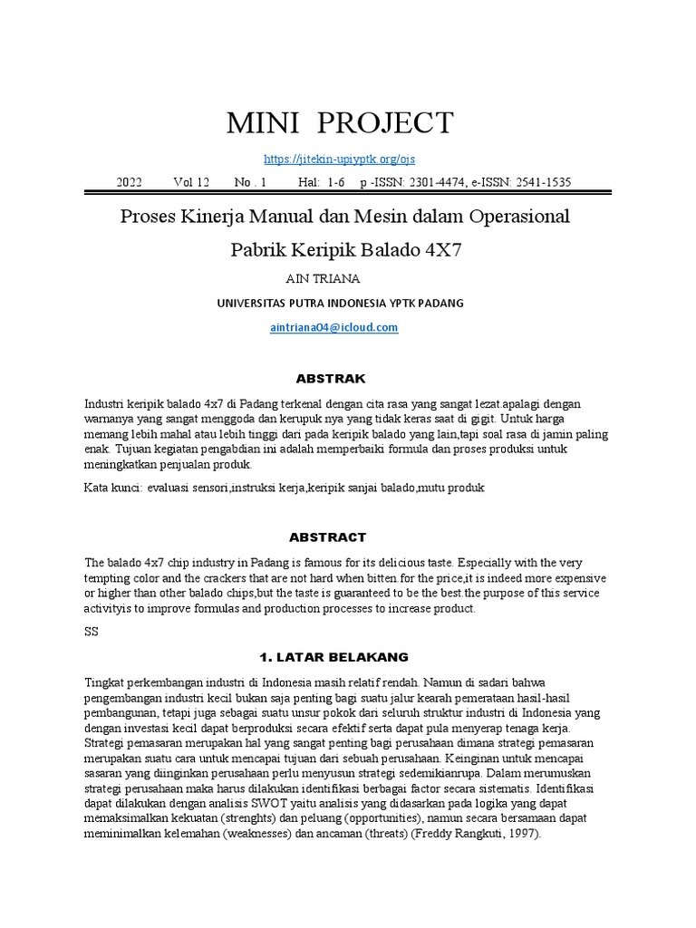 Mini Project | PDF
