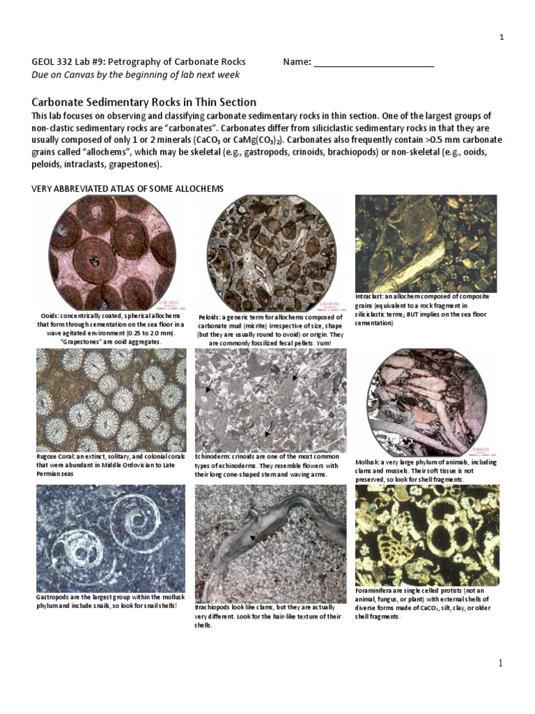 GEOL 332 Fa21 Lab #9 Carbonate Petrography | PDF | Earth Sciences | Geology
