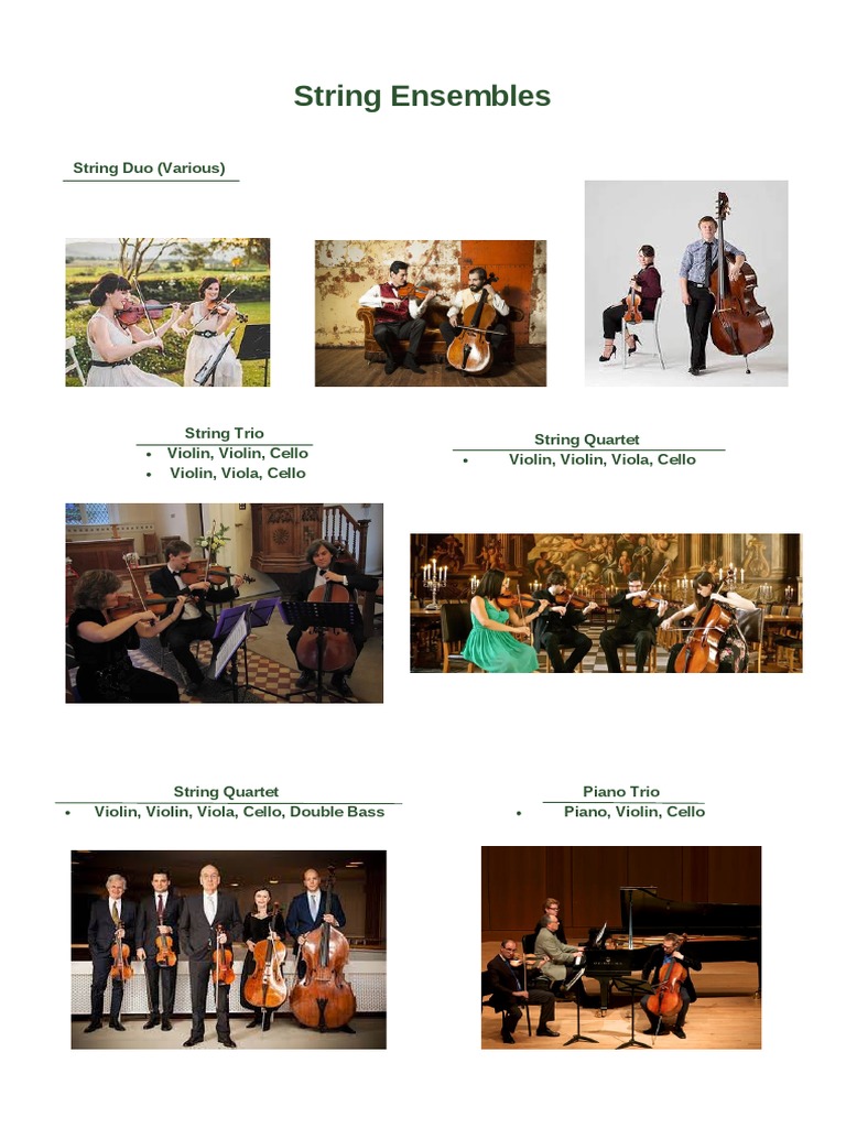String Ensembles | PDF