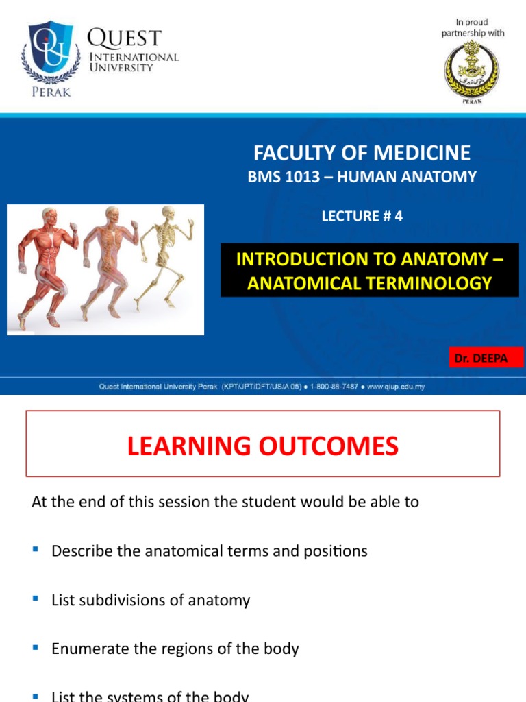 BMS - AL 4 - Introduction To Anatomy - Anatomical Terminology | PDF ...
