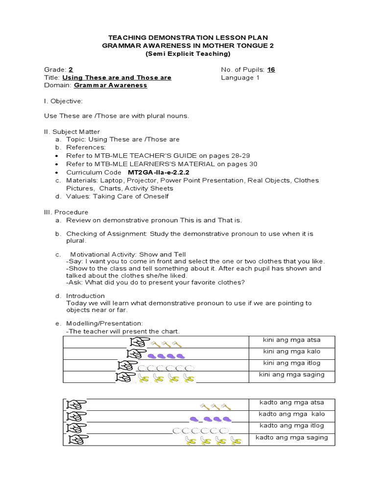Lesson Plan | PDF | Teachers | Lesson Plan