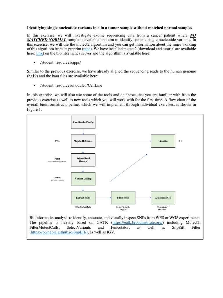 Module Exercise C | Download Free PDF | Bioinformatics | Single ...
