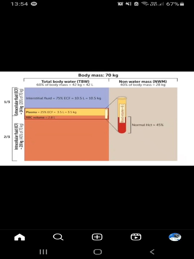 physio graph last look for neet/INIcet | PDF