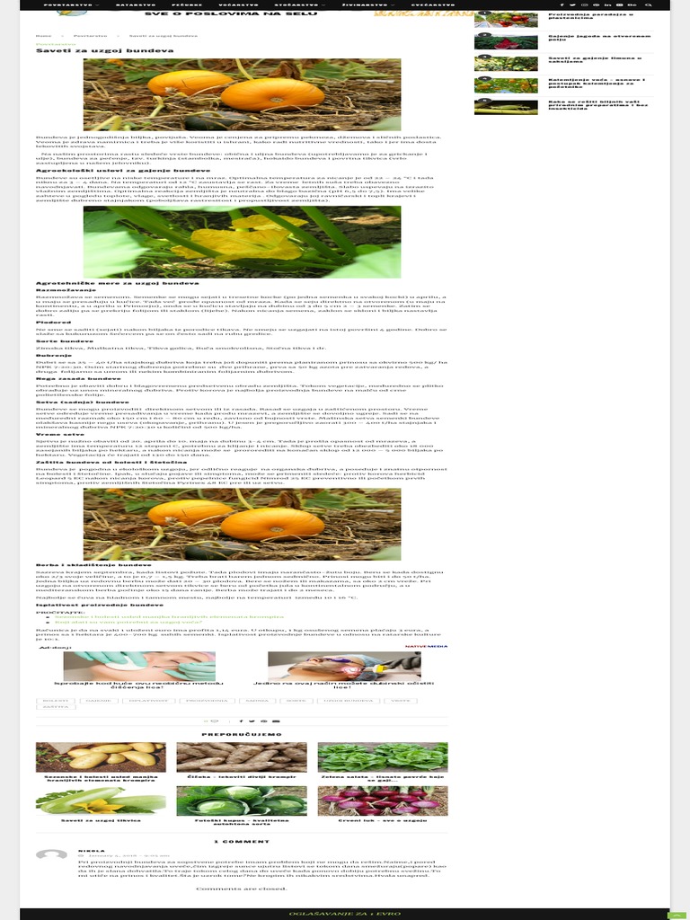 Uzgoj Bundeva - Uslovi, Sadnja, Razmnožavanje, Berba - Seoski Poslovi - Portal o Poljoprivredi | PDF