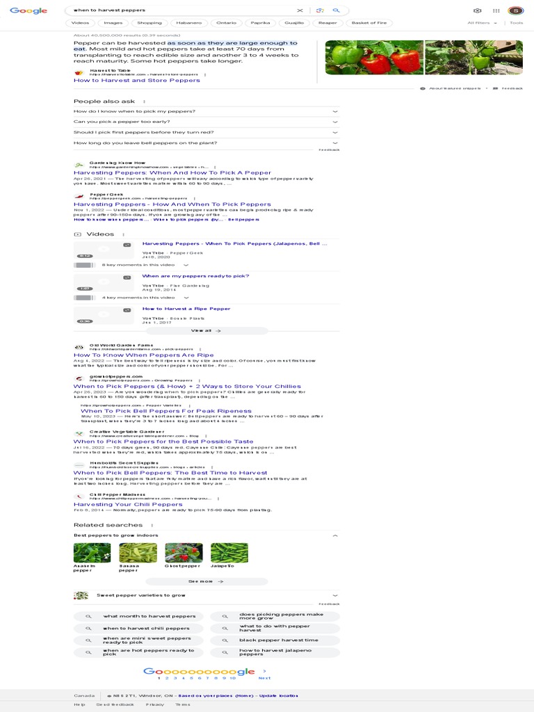 When To Harvest Peppers - Google Search | PDF | Chili Pepper | Bell Pepper