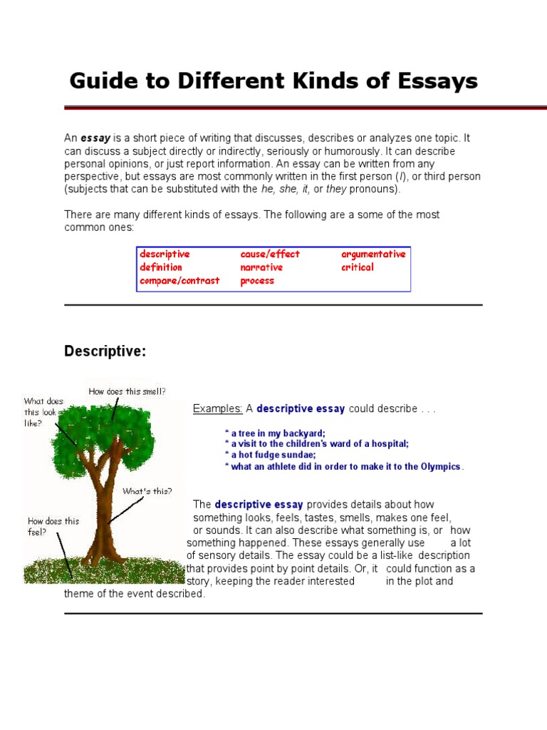 Guide To Different Writing Essays 1 | PDF | Essays | Volcano