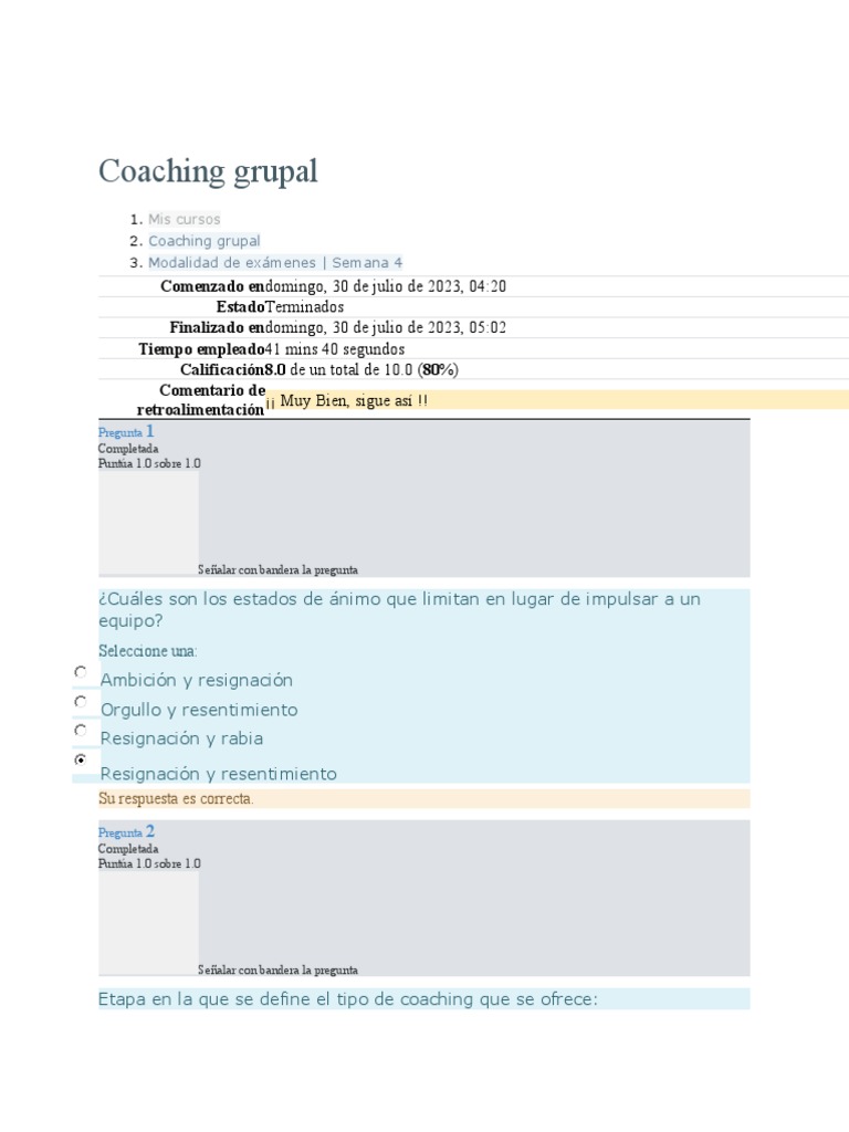 Coaching Grupal | PDF
