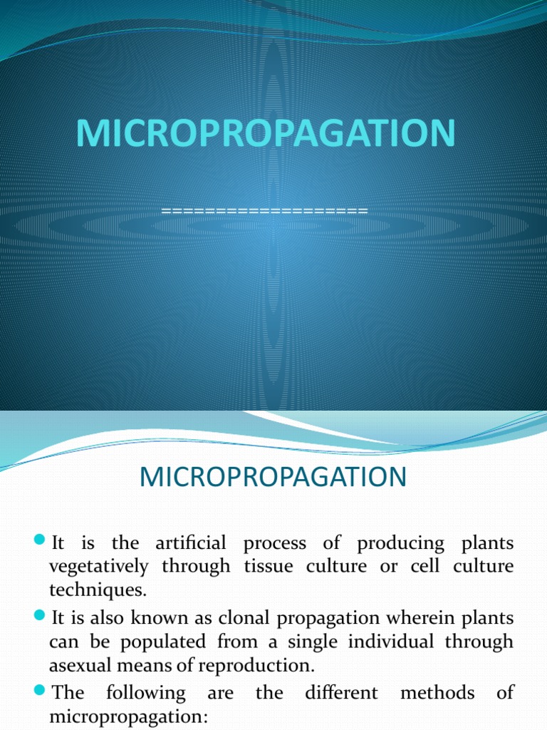 Micropropagation: Methods and Applications | PDF | Wellness