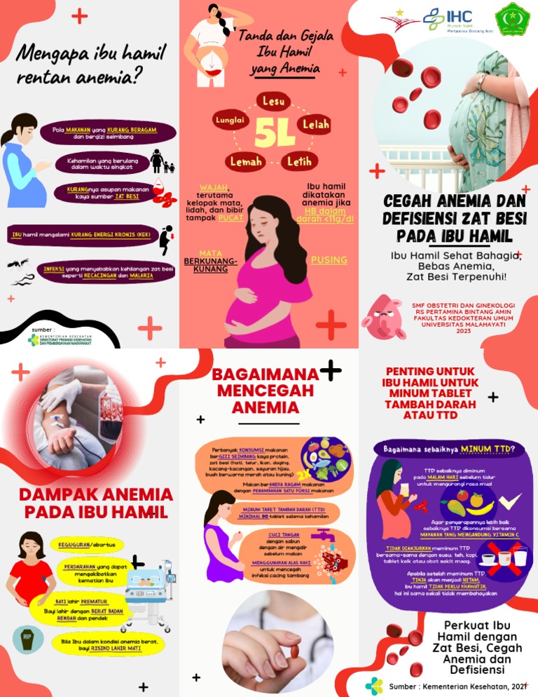 Leaflet Cegah Anemia Pada Ibu Hamil | PDF