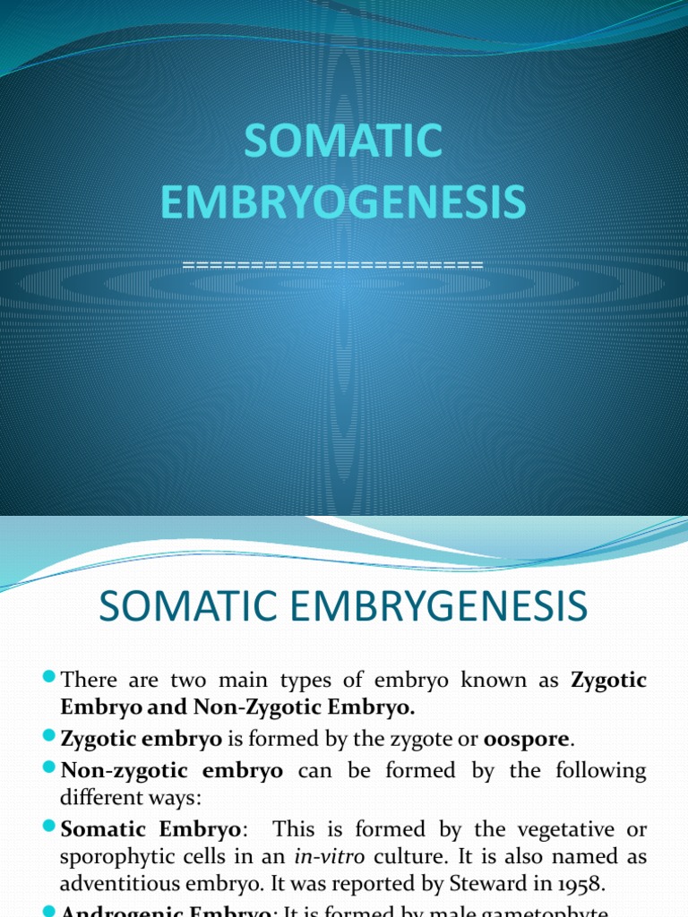 Somatic Embryogenesis | PDF