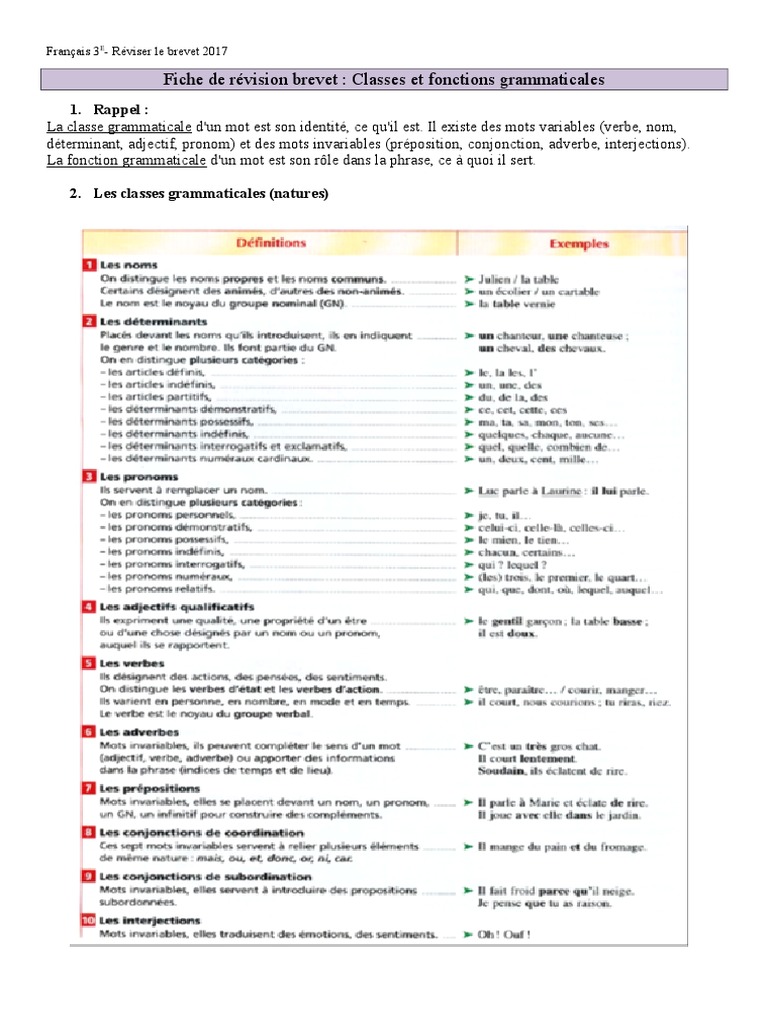 Fiche de Révision Nom | PDF