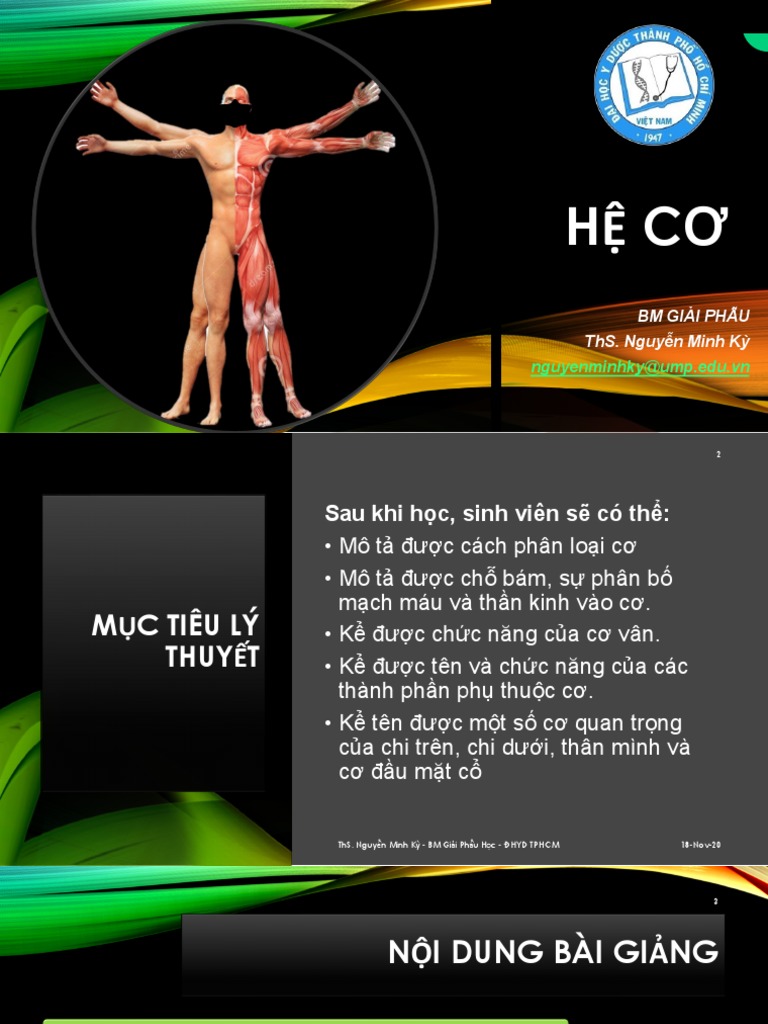 Nmkk Muscular Sys Hiu Pdf