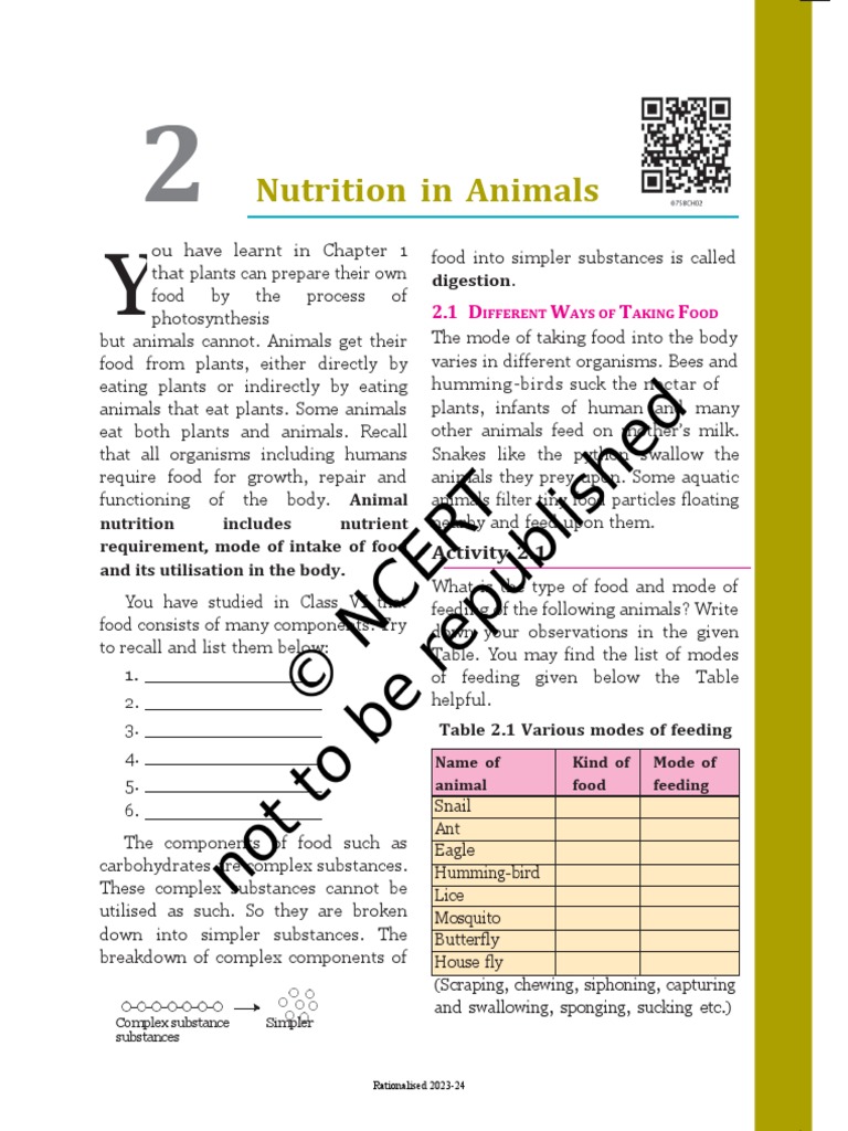 Nutrition in Animals | PDF | Digestion | Human Digestive System
