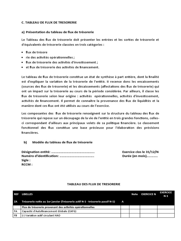 Flux de Tresorerie | PDF | Facture | Immobilisations