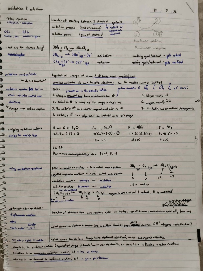 Slightly Brief-Notes-On-Module-3-And-4-636263e73d012 | PDF