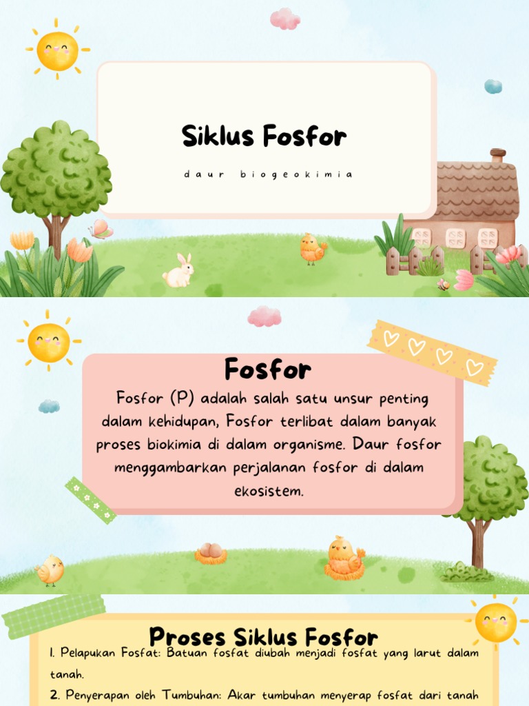 Siklus Fosfor | PDF