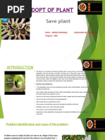 UU200 Group Report | PDF | Mangrove | Coral Reef