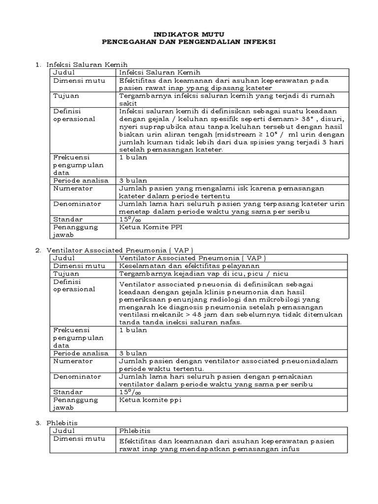 Contoh Indikator-Mutu-Ppi | PDF