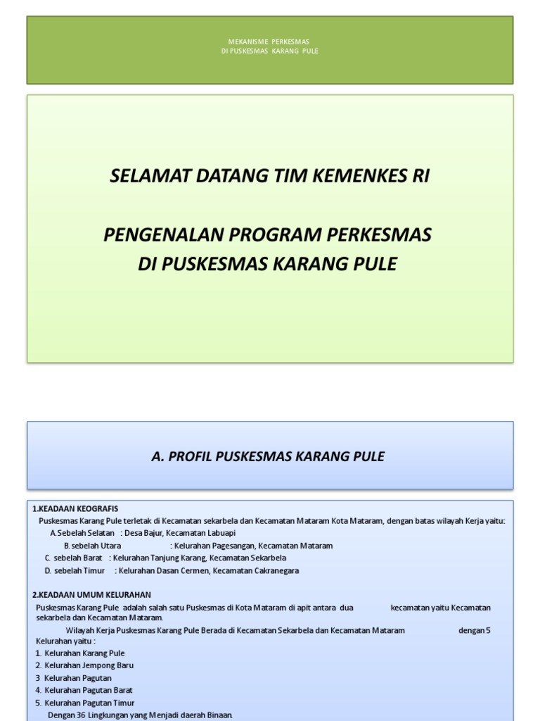 Mekanisme PKL Perkesmas Fix (1) (Autosaved) | PDF | Pengembangan Diri | Kesehatan Holistik