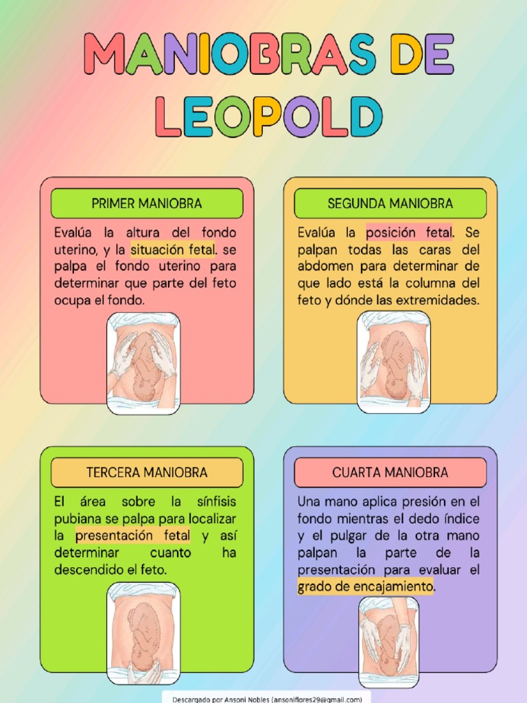 Maniobra de Leopold | PDF