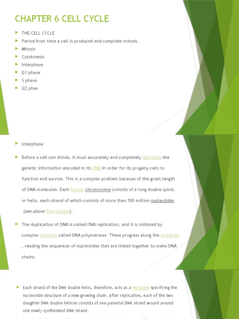 Chapter 6 Cell Cycle | PDF | Meiosis | Mitosis