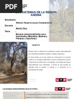 La Sabana Húmeda de Palmeras | PDF