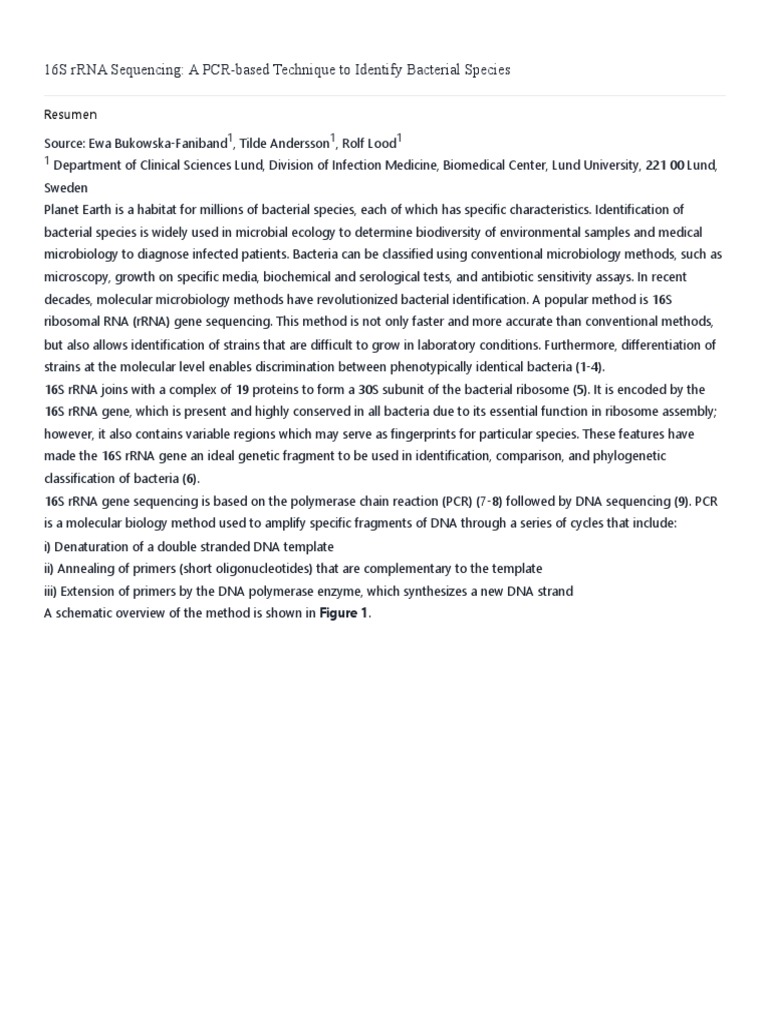 16S rRNA Sequencing: Bacterial ID via PCR | PDF