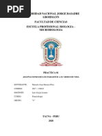 UROPOL Medicamntos | PDF | Orina | Medicamentos con receta