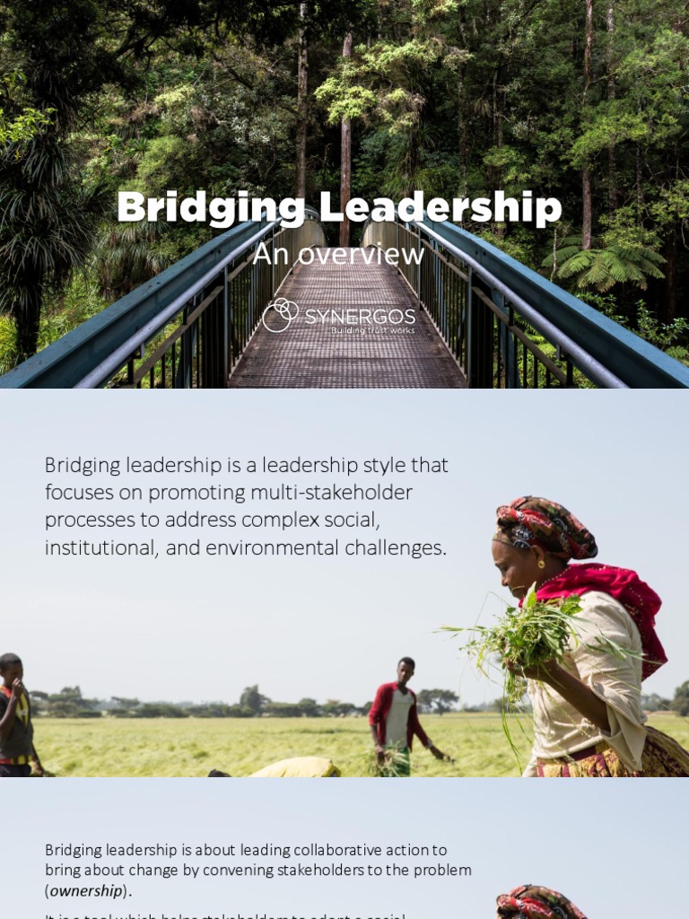 Bridging Leadership Overview | PDF | Leadership | Expert
