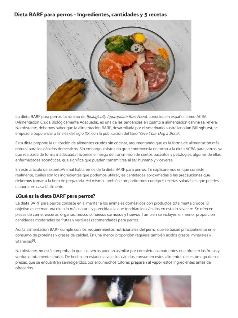 Recetas y Guía de Dieta BARF para Perros | PDF | Carne | Alimentos