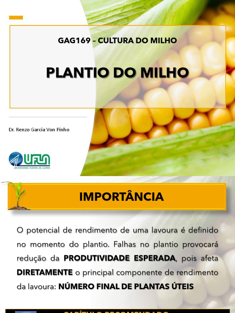 Aula 10 - Plantio Do Milho | PDF